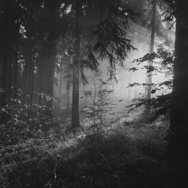 808 Heat Sample Pack - SoundPacks.com