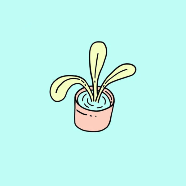 SoundPacks.com - Free Sample Packs, Drum Kits & Presets